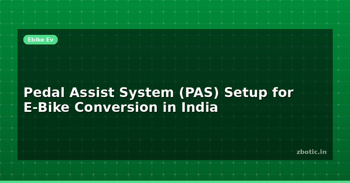 Pedal Assist System (PAS) Setup for E-Bike Conversion in - Zbotic